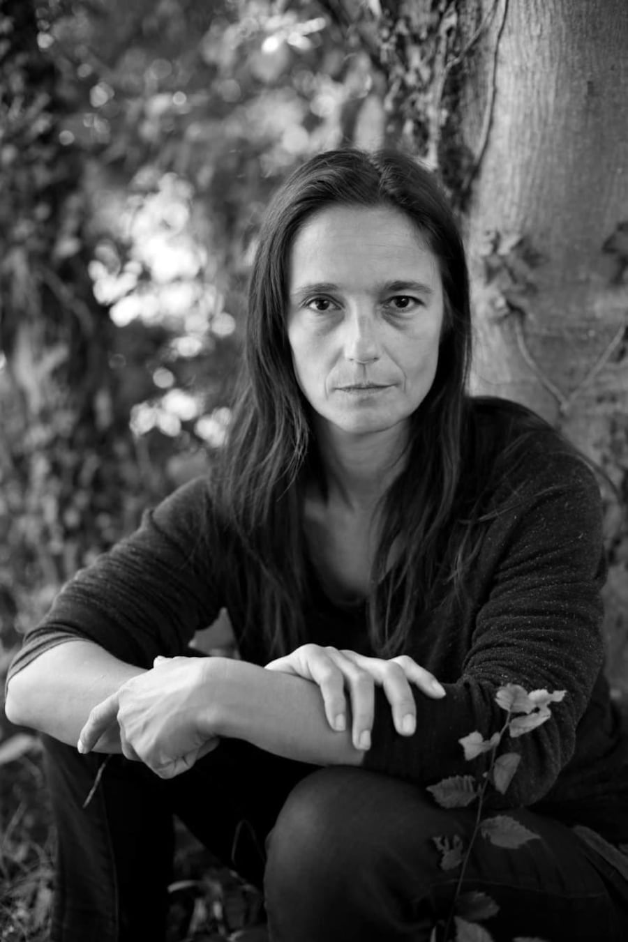 Danse en images 2023 - Program