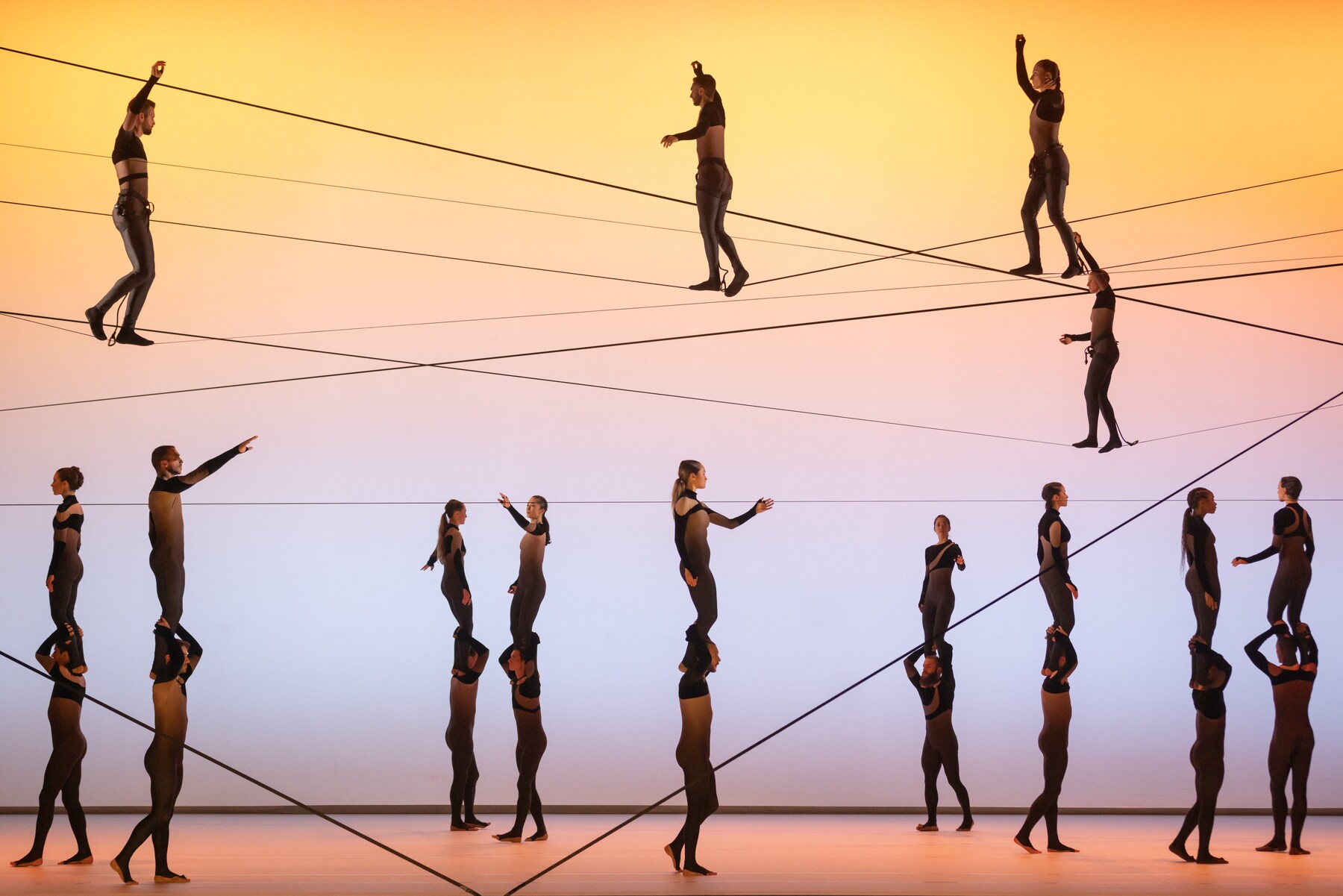 Programs | Dance Reflections by Van Cleef & Arpels