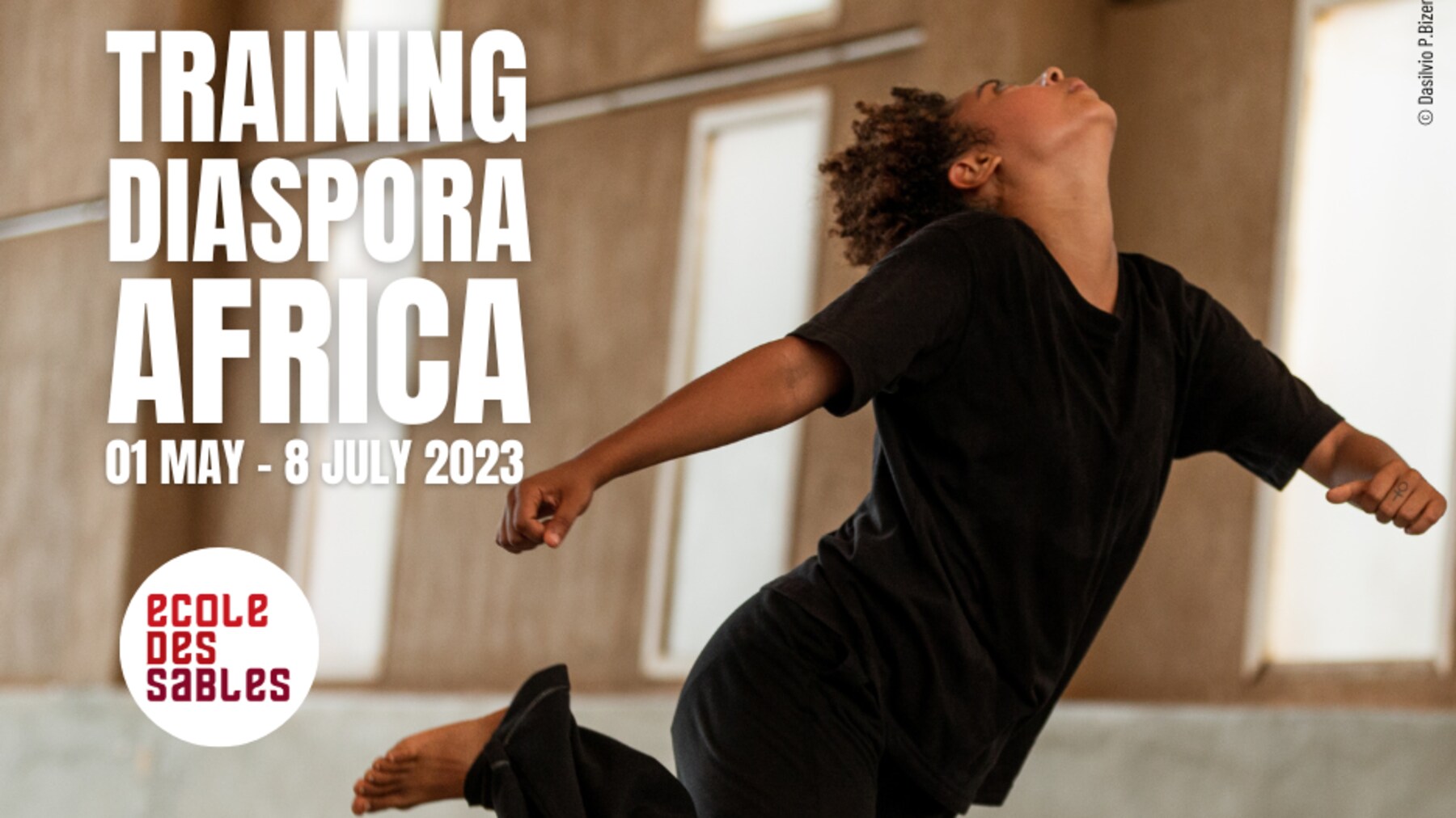 Training Diaspora Africa | Module 2 - Residency