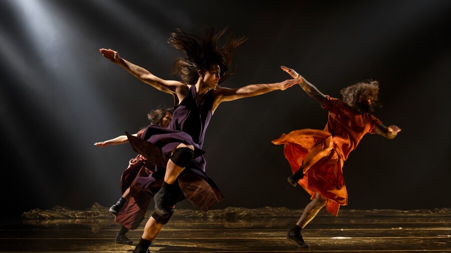 Agenda | Dance Reflections by Van Cleef & Arpels